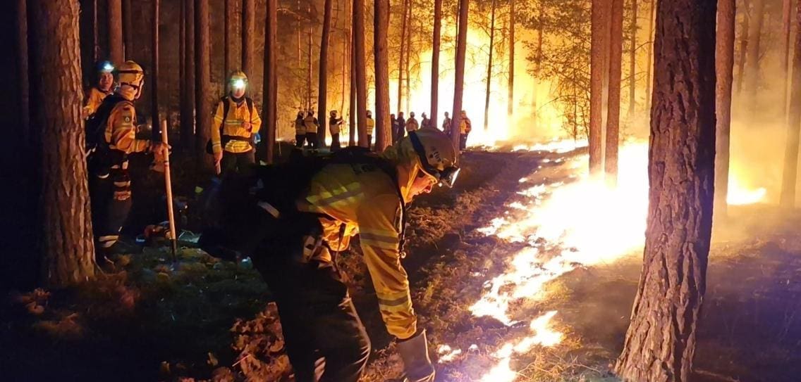 Forest fire operation in Brandenburg | @fire