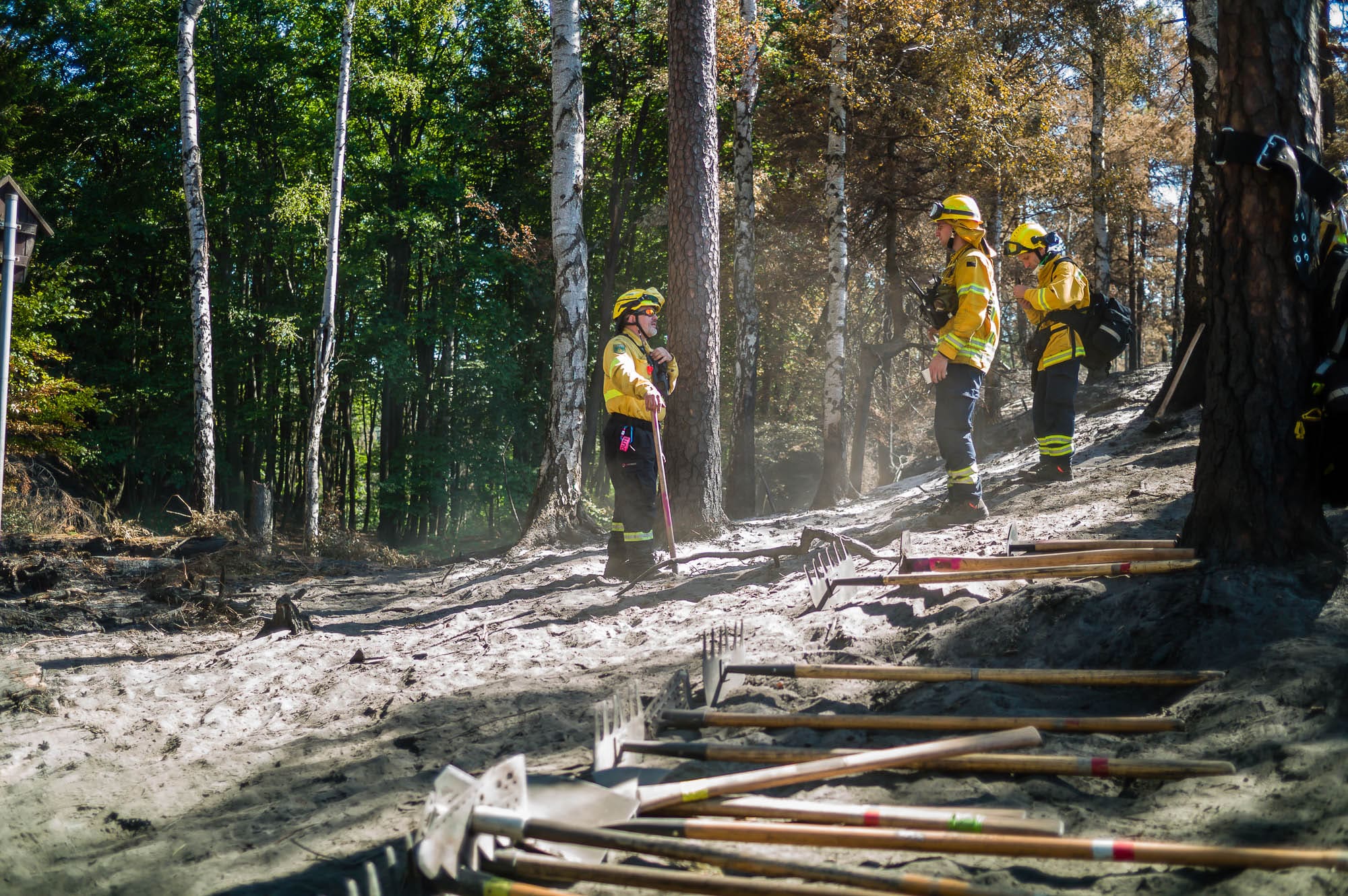 Germany becomes a forest fire country - summary of the 2022 fire season ...
